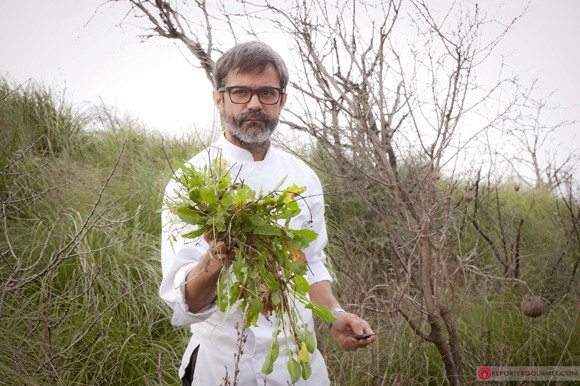 Roberto Petza: la geniale semplicità della cucina “petziana” | Ultime ...