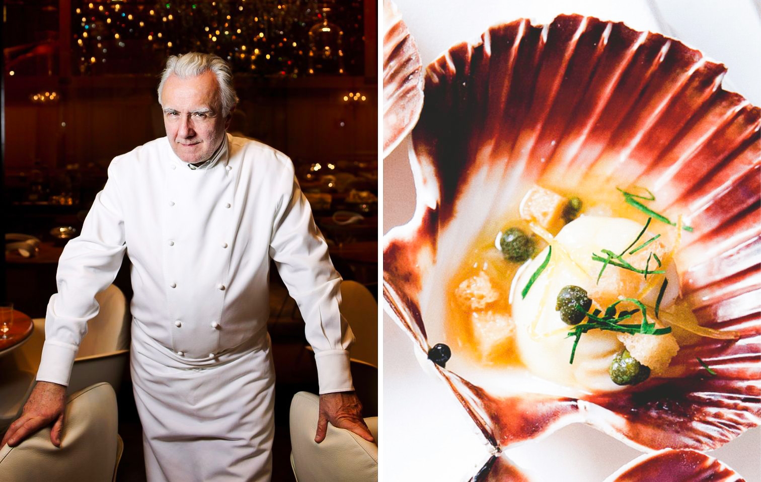 Come Alain Ducasse ha trasformato la capasanta in un capolavoro: la ...