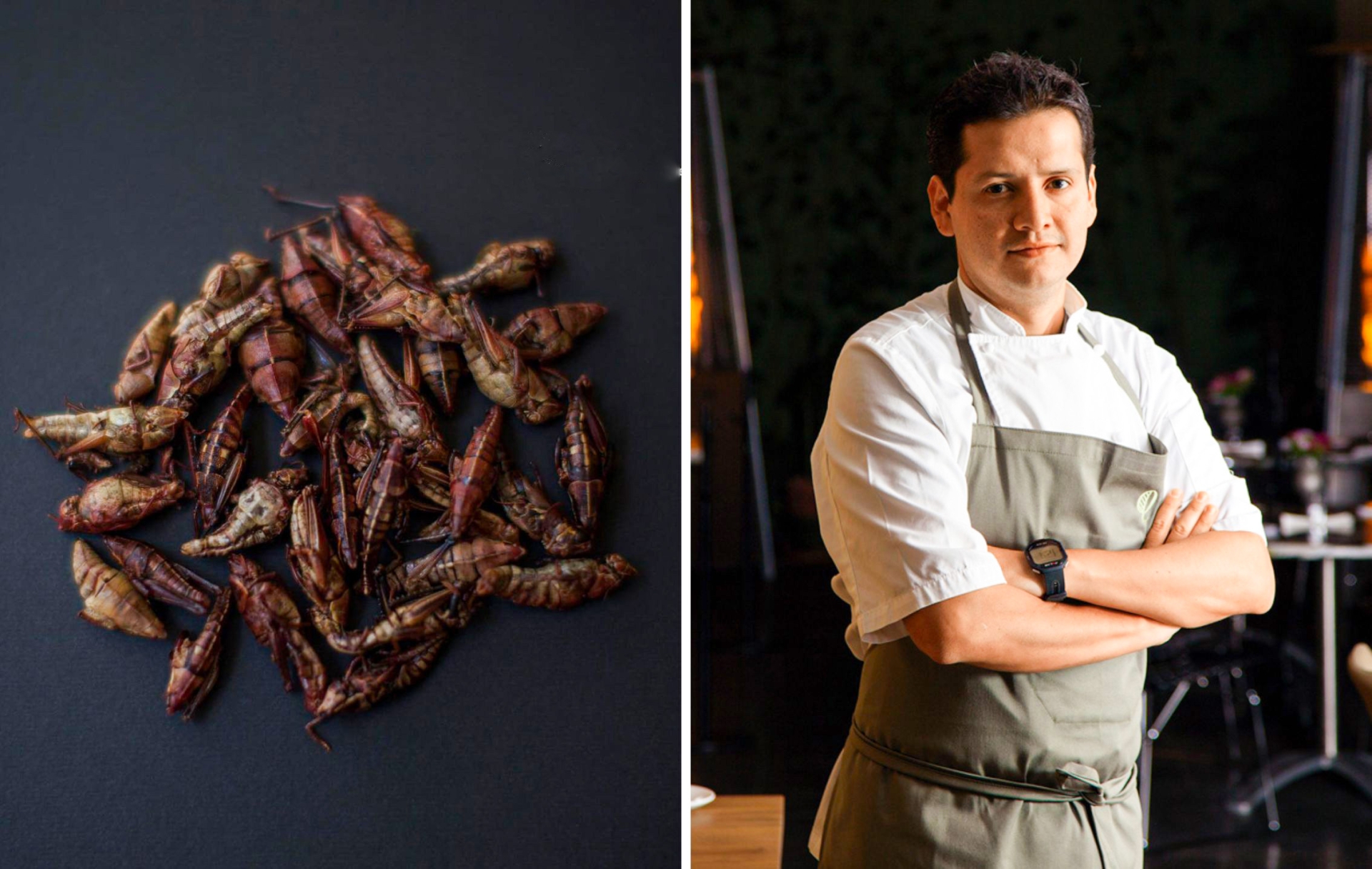 Jorge Vallejo, from Zero to 2 Michelin Stars: Meet the Chef Who Turns ...