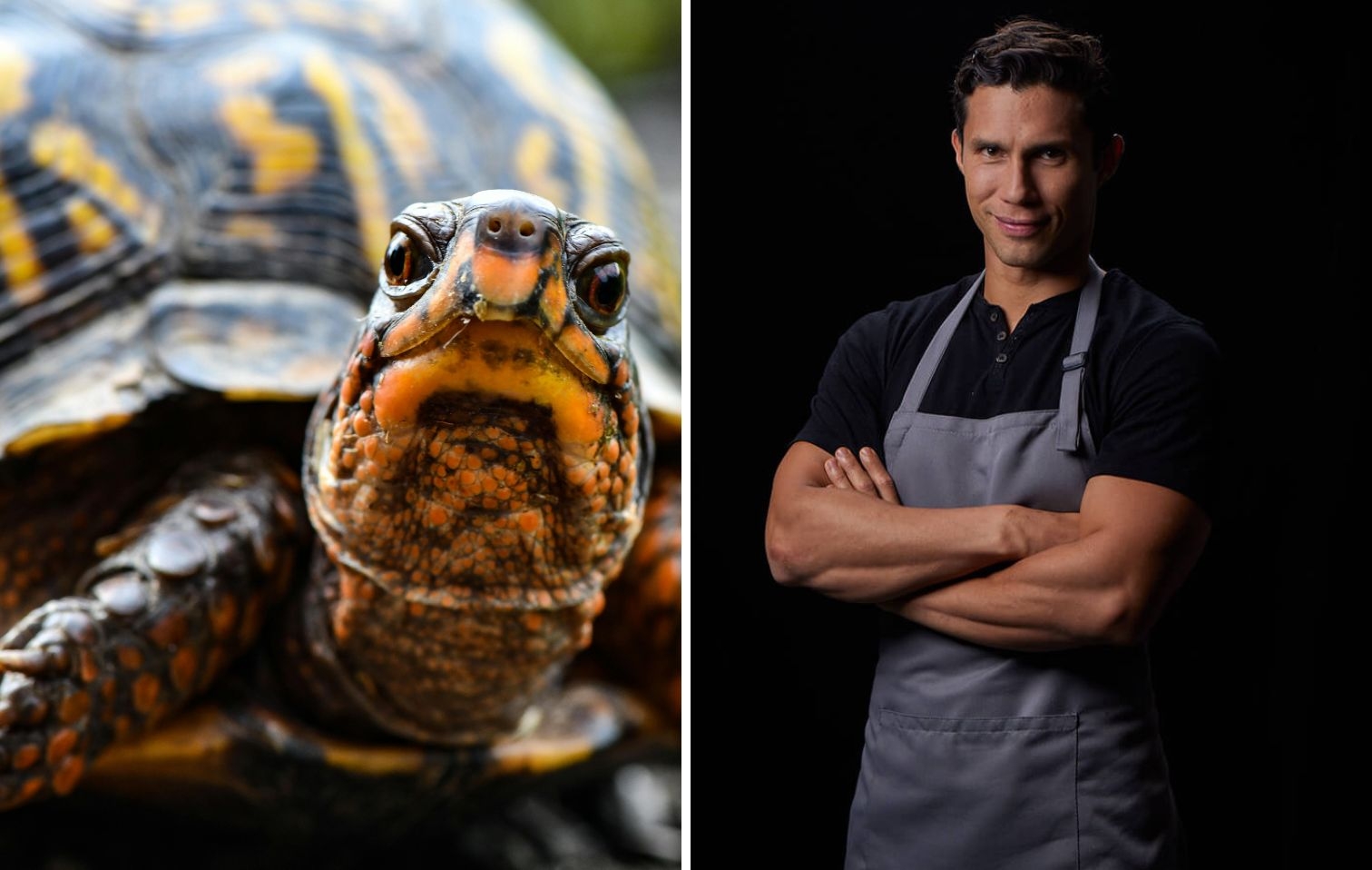 Peruvian celebrity chef cooks a protected specie of turtle | Latest ...