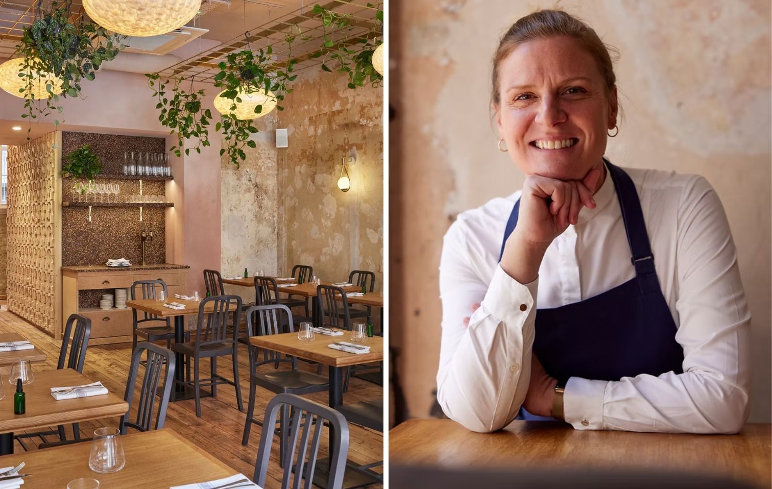 Apricity, the gourmet serving tap water: “We saved 10,000 bottles ...