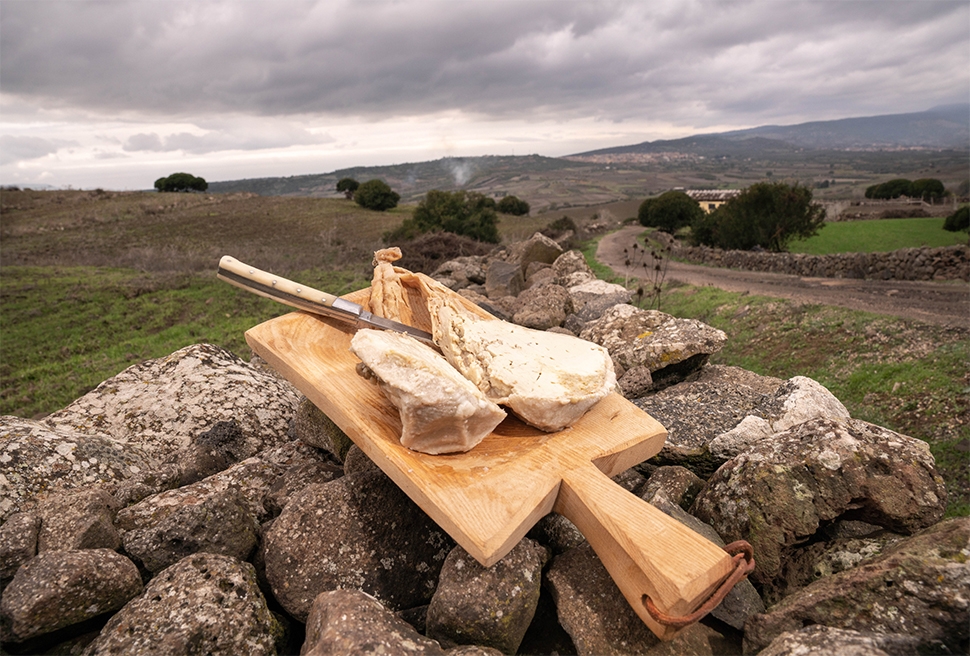 Su callu ‘e crabittu, il formaggio spalmabile più antico del mondo che ...