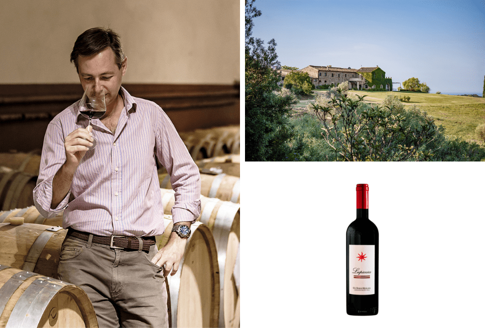 Lupicaia di Castello del Terriccio: un grande vino che sa emozionare ...
