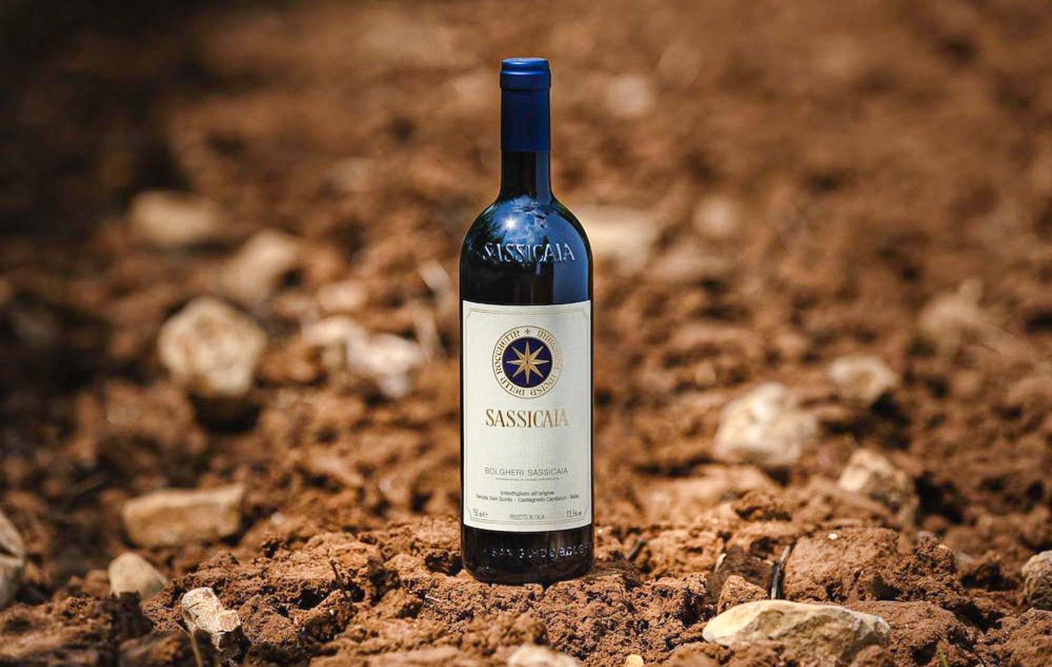 Sassicaia Revealed as the Most Sought-After Italian Wine Worldwide ...