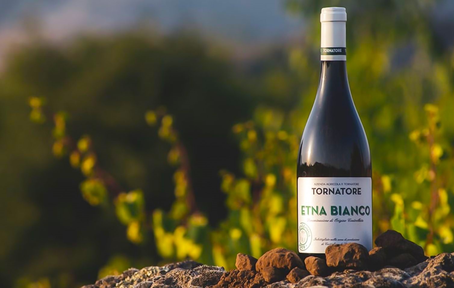 10 vini bianchi siciliani da non perdere: ecco le eccellenze dell’isola ...