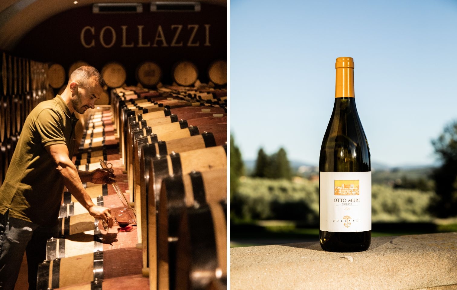 Tenuta Collazzi: sopra Firenze c’è una cantina con 400 ettari di ...